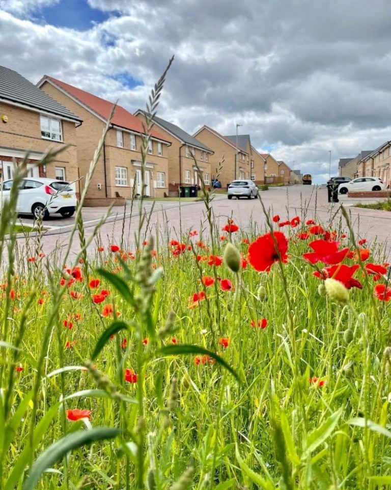 Bradford Breakthrough